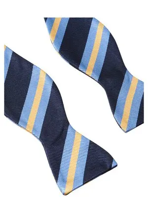 Robert Talbott Bond Self-tie Signature Repp Bow Tie - Navy Multi
