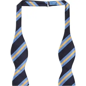 Robert Talbott Bond Self-tie Signature Repp Bow Tie - Navy Multi