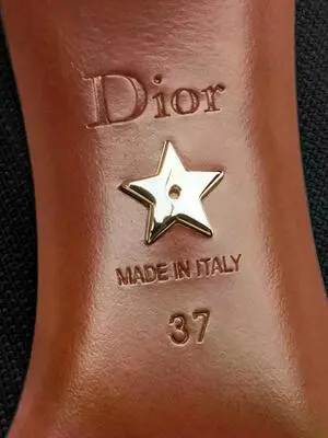 Dior 2024 Embroidered Ankle Boots