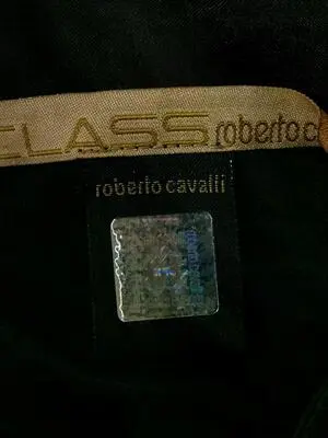 Just Cavalli Floral Appliqué Sheer Blouse