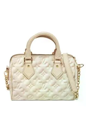 LOUIS VUITTON Speedy 20 Tote Bag