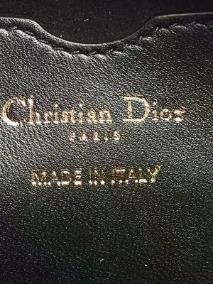 Dior 2024 Small Vibe Hobo