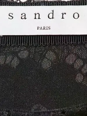 Sandro Lace Skirt With Floral Embroidery