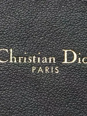 Dior Logo Belt