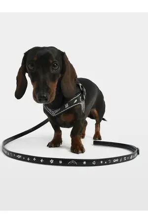 Zadig&Voltaire Leather Dog Leash