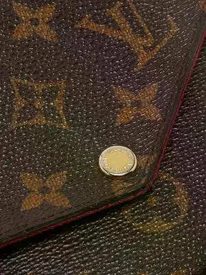 LOUIS VUITTON Felicie Pochette - Brown