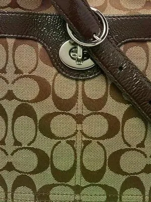 COACH VINTAGE Signature Crossbody Bag