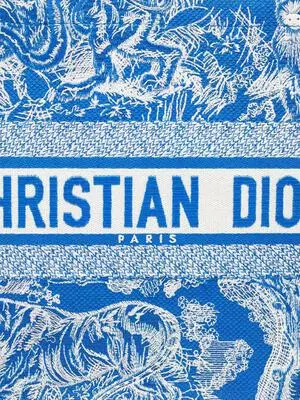 Dior 2024 Book Tote Bag - Blue