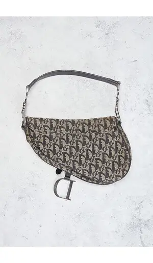 FWRD RENEW Dior Trotter Oblique Saddle Bag