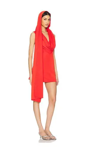 SID NEIGUM Cape Cowl Mini Dress
