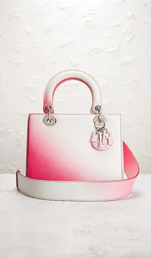 FWRD RENEW Dior Lady Dior Handbag