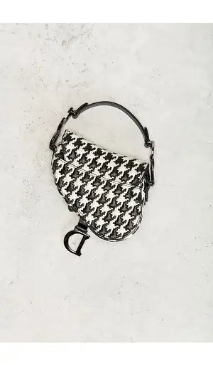 Undefined Dior Saddle Bag