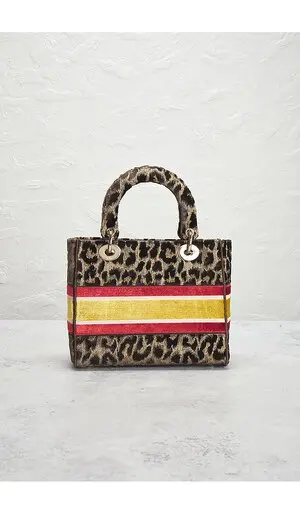 FWRD RENEW Dior Leopard Lady D-lite Handbag