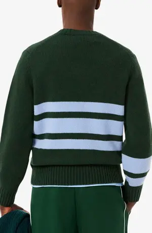 Lacoste Classic Stripe Wool V-neck Sweater - Sinople/overview