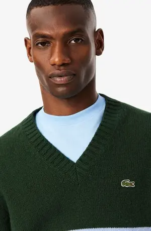Lacoste Classic Stripe Wool V-neck Sweater - Sinople/overview