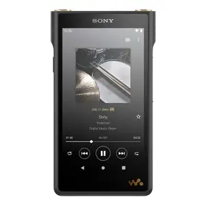 SONY Nw-wm1am2 128gb Walkman Digital Music Player - Black