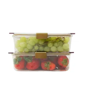 MODERN PICNIC The Container, Set Of 2 - Clear/gold