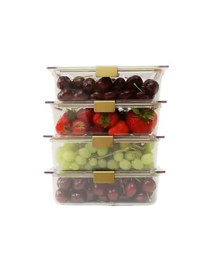 MODERN PICNIC The Container, Set Of 4 - Clear/gold