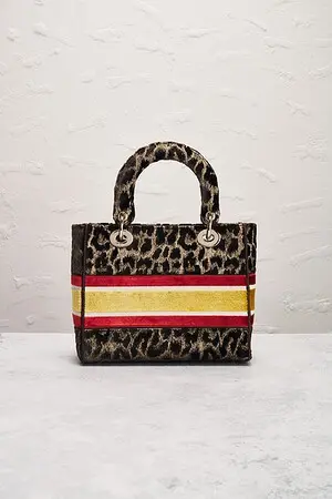 Dior Leopard Lady D-lite Handbag - Multi