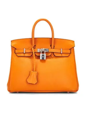 Hermès Novillo Birkin 25 Handbag