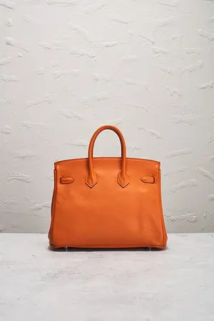 Hermès Novillo Birkin 25 Handbag