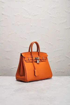 Hermès Novillo Birkin 25 Handbag