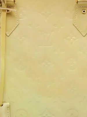LOUIS VUITTON Monogram Alma Bag