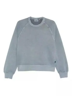 Carhartt Work In Progress Raglan Sweatshirts Hoodies For Women