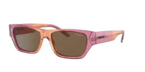 ARNETTE Arnette AN4295 Agent Z Sunglasses Dark Brown