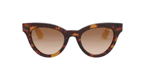 Polo Ralph Lauren Ph4157 Sunglasses