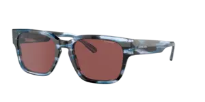 ARNETTE Type Z Sunglasses