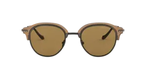 Giorgio Armani Ar8117 Sunglasses
