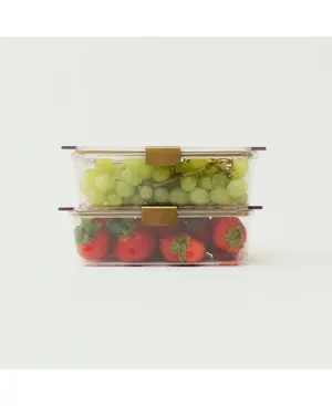 MODERN PICNIC The Large Luncher + Container