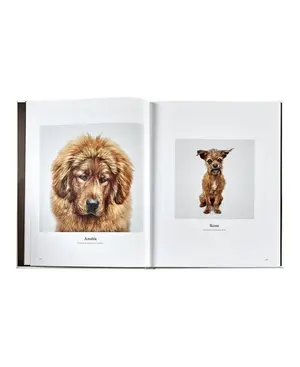 GRAPHIC IMAGE Good Dog Leather Bound Book
