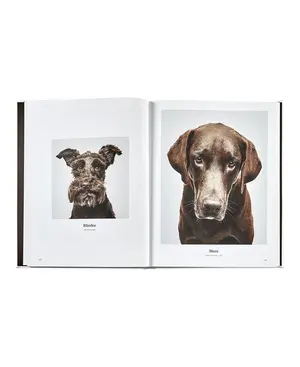 GRAPHIC IMAGE Good Dog Leather Bound Book