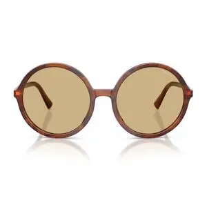 Miu Miu Miu Regard Sunglasses - Brown