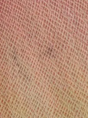 LOUIS VUITTON Damier Canvas Zippy Wallet - Brown