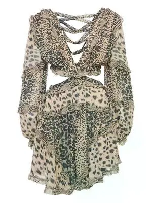 Zimmermann Leopard-print Mini Dress