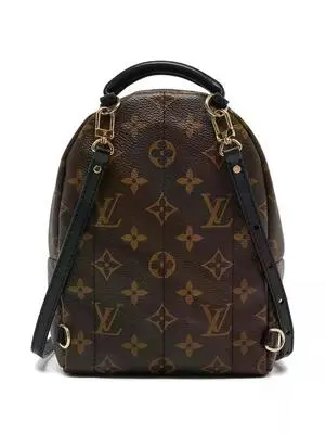 LOUIS VUITTON 2024 Palm Springs Backpack