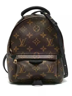 LOUIS VUITTON 2024 Palm Springs Backpack