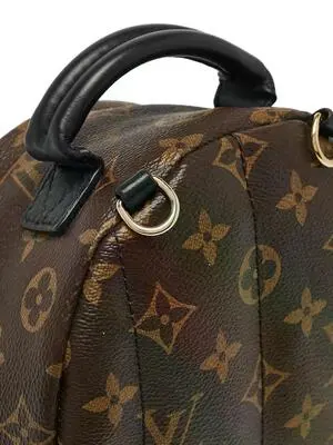 LOUIS VUITTON 2024 Palm Springs Backpack