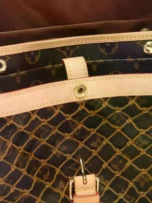 LOUIS VUITTON 2007 Monogram Congo Pm Crossbody Bag