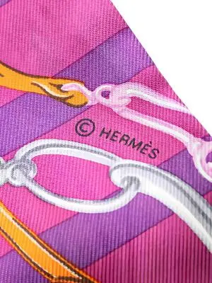 Hermès 2010s Brides De Gala Ribbon Scarf