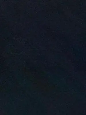 EA7 Logo Swimsuit