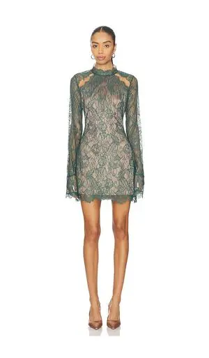 Party Lace Dresses