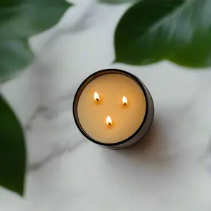 SLOW NORTH Eucalyptus + Lavendersignature 3-wick Candle