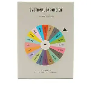 THE SCHOOL OF LIFE Emotional Barometer