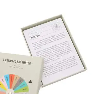 THE SCHOOL OF LIFE Emotional Barometer