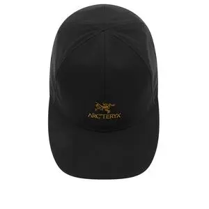 Arc'teryx Bird Word Cap