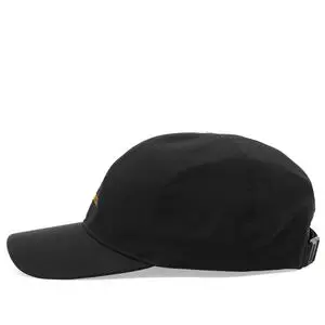 Arc'teryx Bird Word Cap
